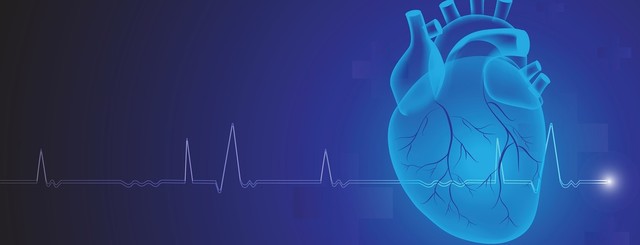 Mise à jour des connaissances en électrocardiogramme (ECG) lors d ...