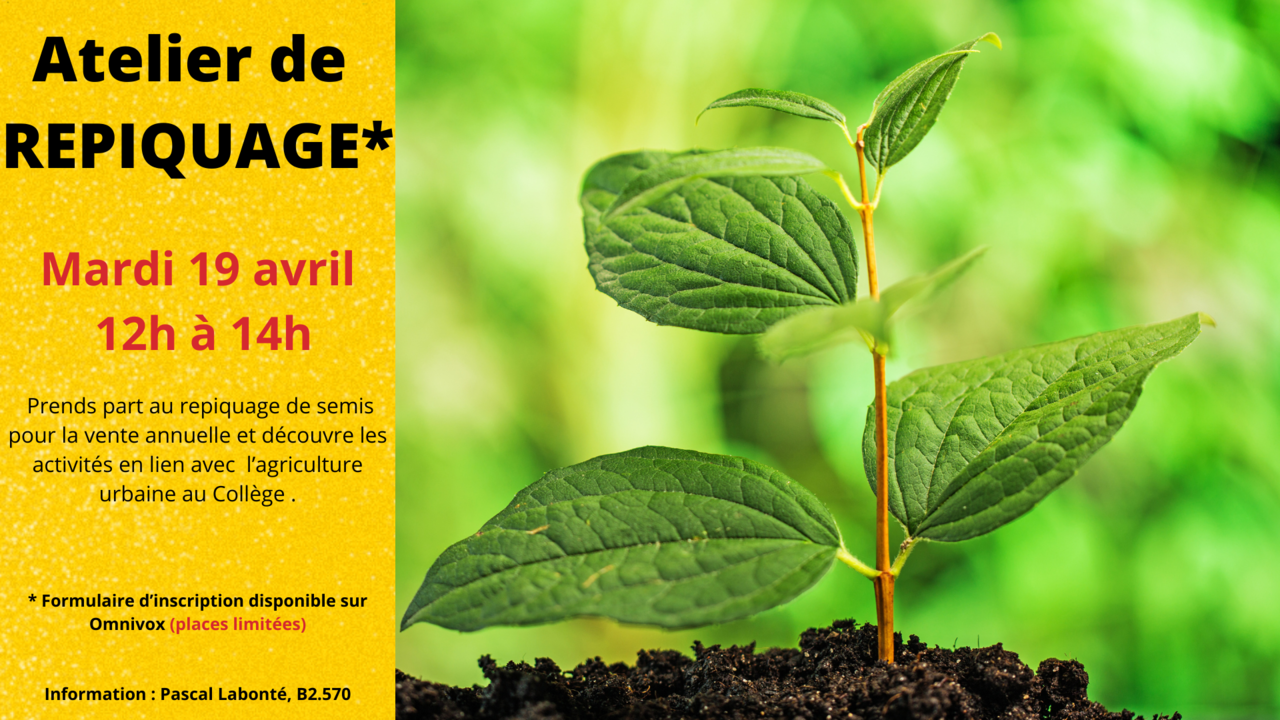 Atelier de repiquage