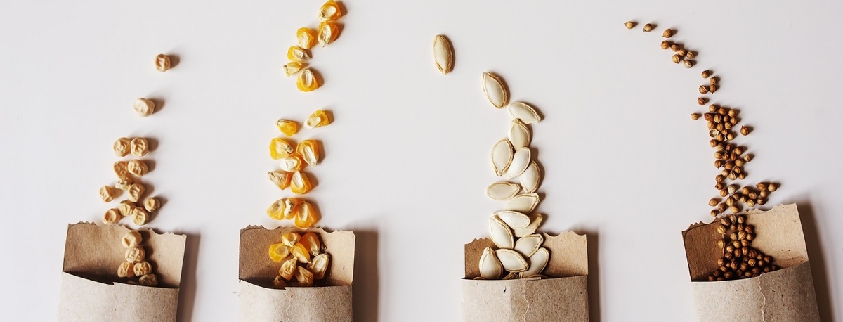 Récoltez vos semences